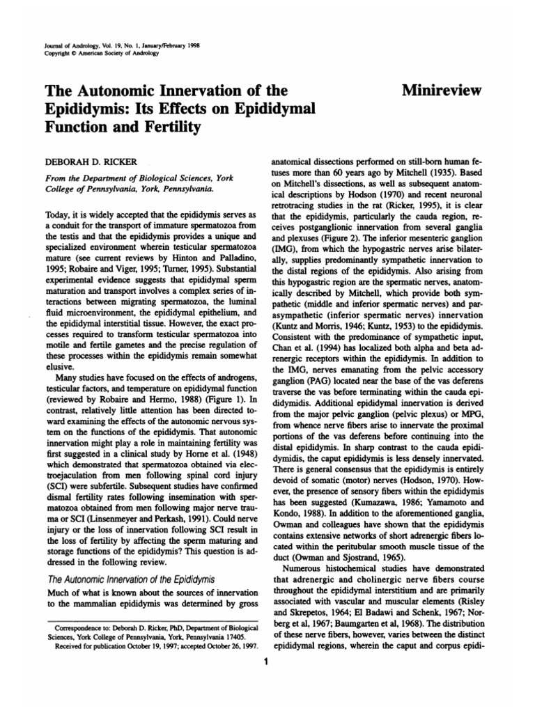 Journal of Andrology - 2013 - RICKER - The Autonomic Innervation of The ...