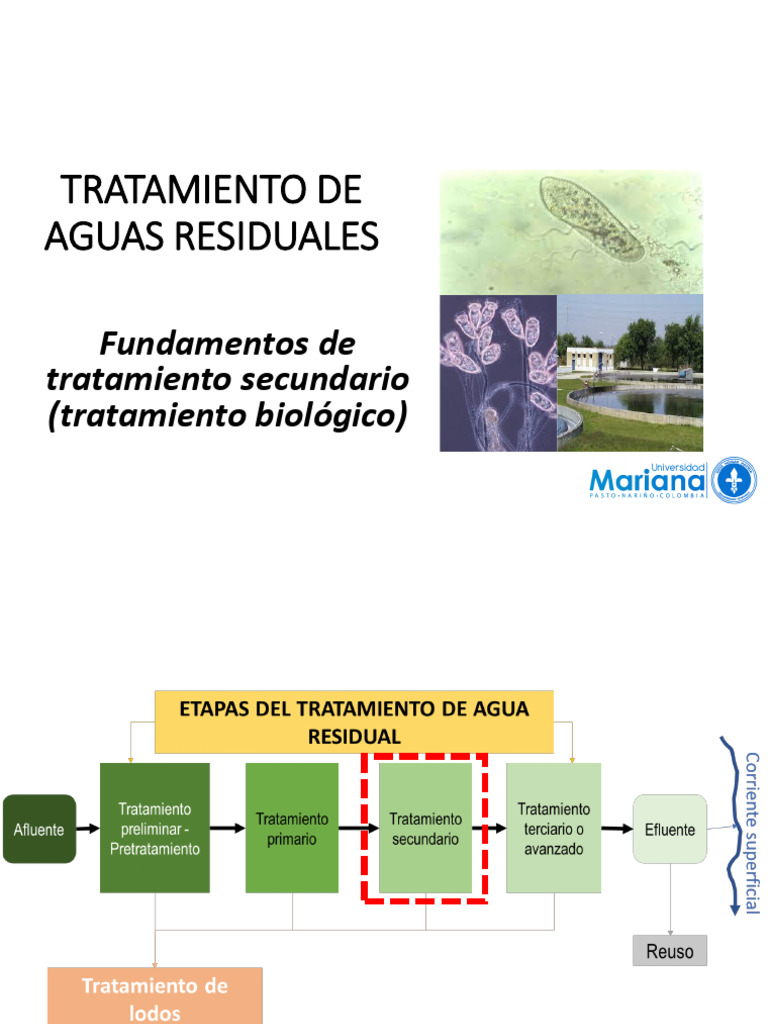 Tratamiento Biológico de Aguas Residuales | PDF | Metabolismo ...