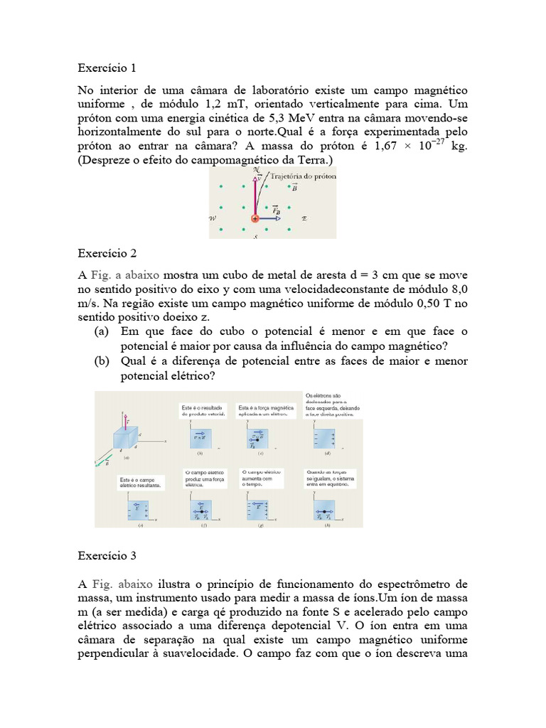 Campo Magnetico - Halliday | PDF | Magnetismo | Campo magnético