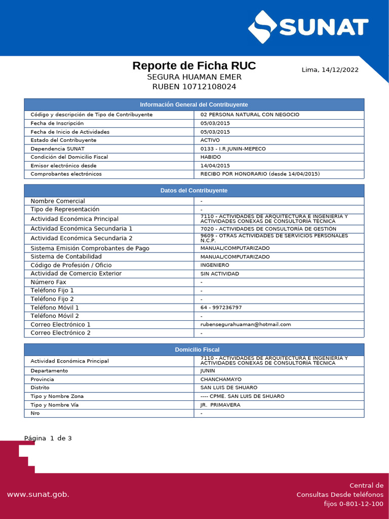 620059218-modelo-de-ficha-ruc | PDF