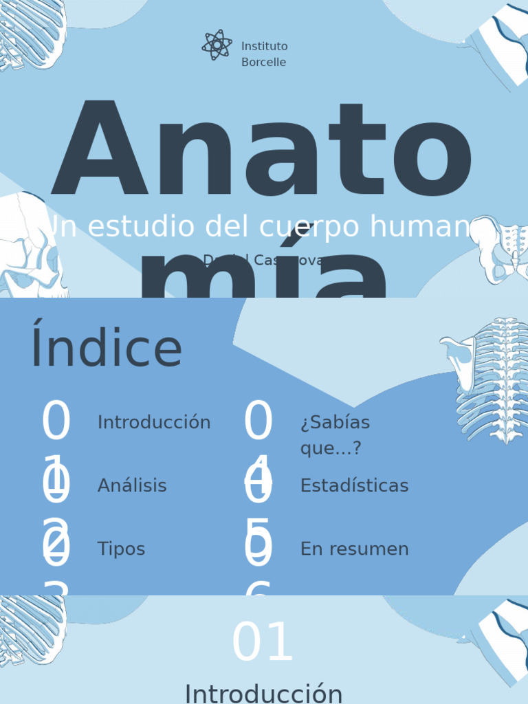 Presentación Diapositivas Anatomía Cuerpo Humano Ilustrativo Simple ...