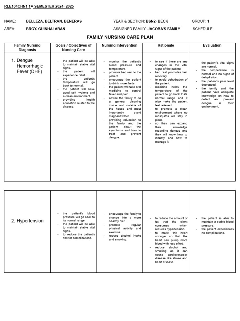 Family Nursing Care Plan for DHF & Hypertension | PDF | Hypertension ...