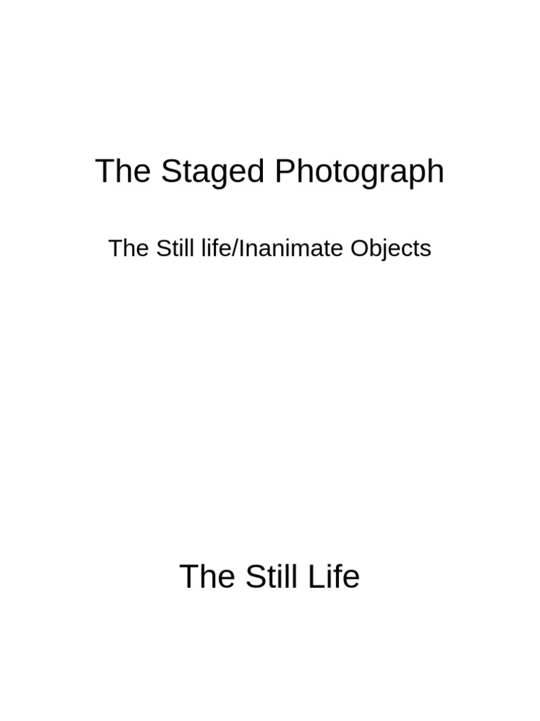 Still Life Slide Lecture - 23 - Intro | PDF