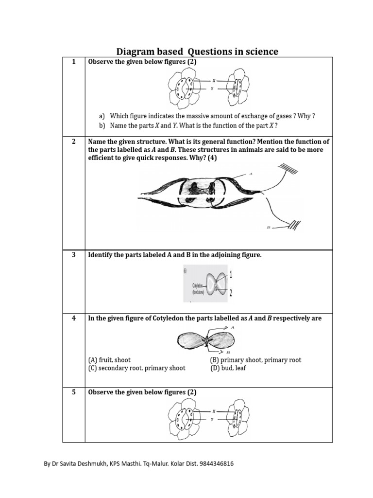 Diagram Based Qns in Science | PDF | Electricity | Electromagnetism