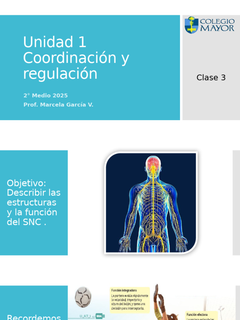 Clase 3_SNC | PDF