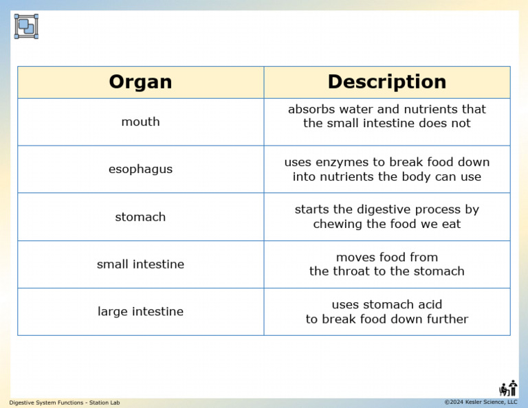 httpsfiles-cdn.schoology.com9df58922b1884ca1a86e9703933a2b97content-type=application2Fpdf ...