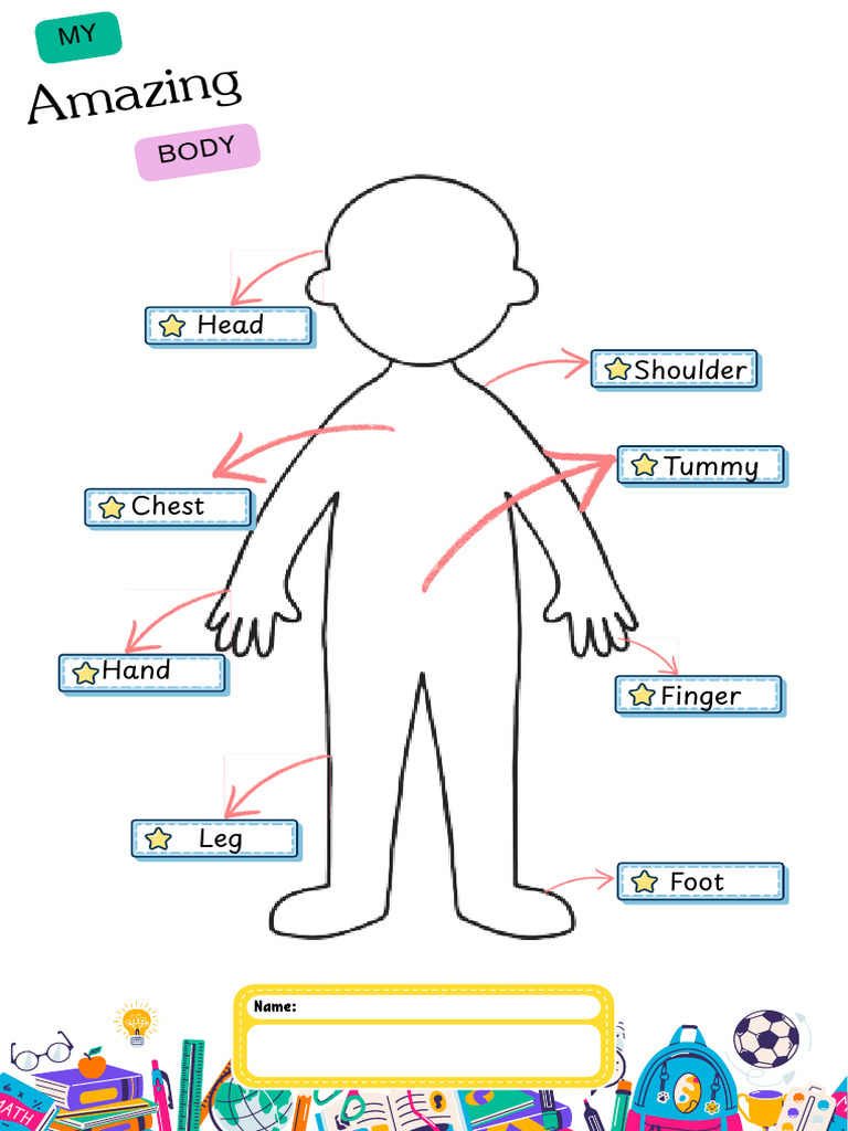 My Amazing Body Parts Worksheet | PDF