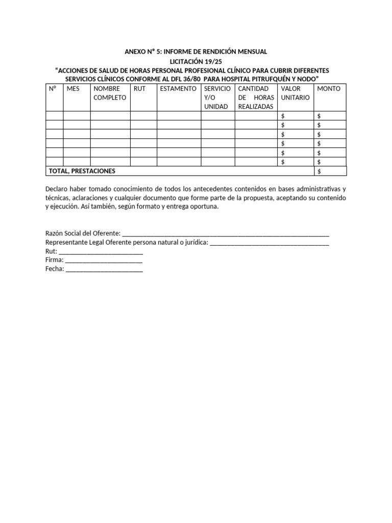 Anexo 5 Informe de Rendicion Mensual | PDF