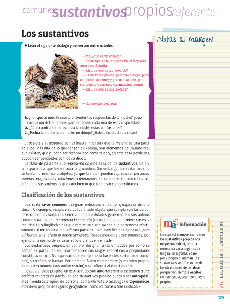 Clases de Palabras | PDF | Verbo | Sustantivo