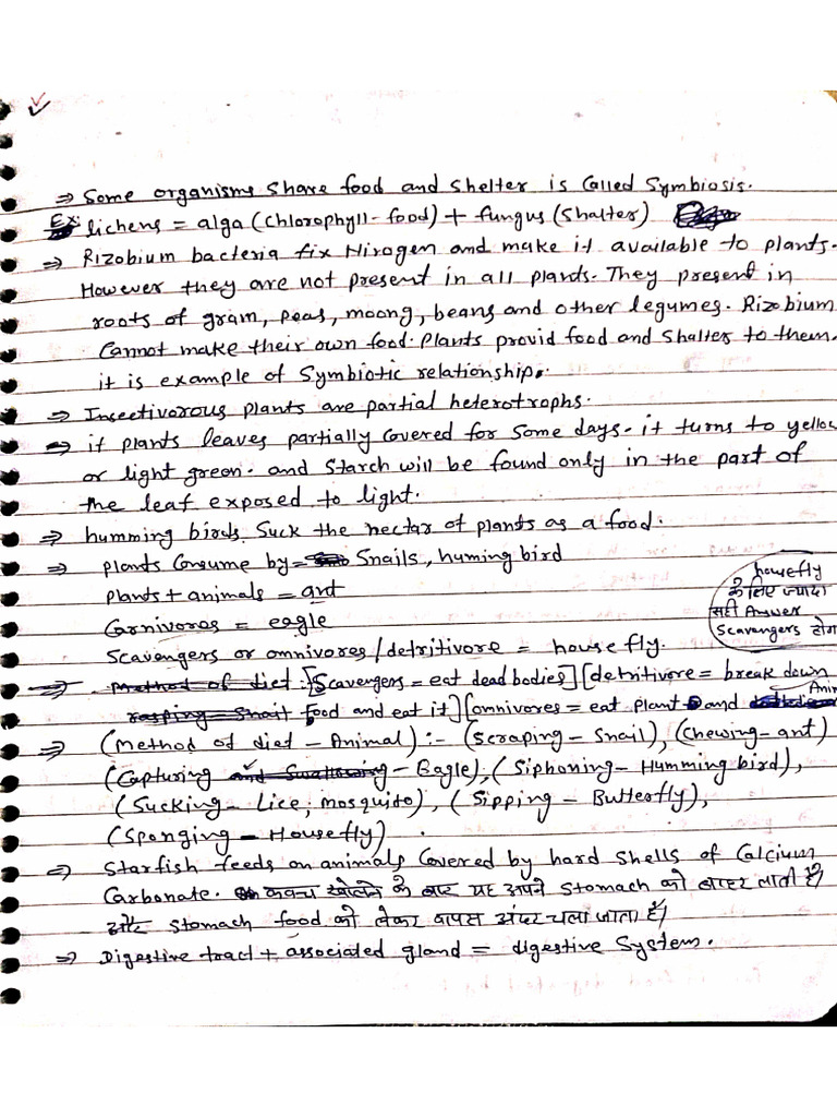 Ncert Class 7 Science Part 4 | PDF