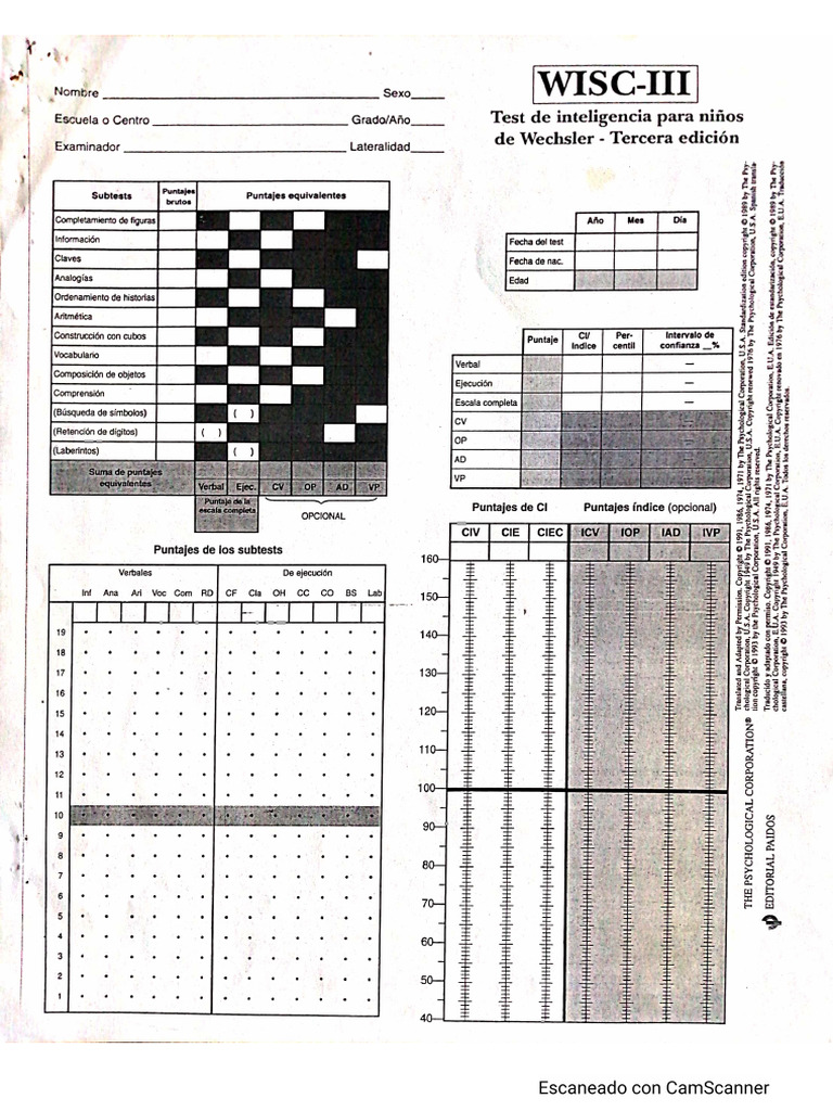 wisc III protocolo | PDF