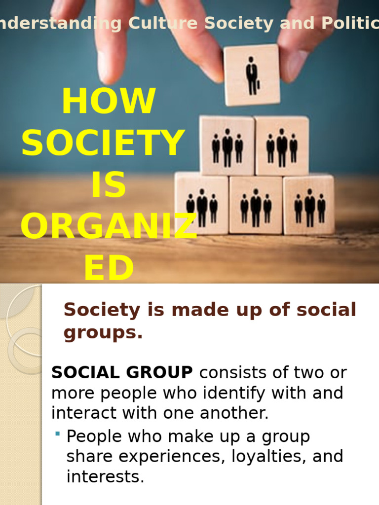 How Society Is Organized | PDF | Social Group | Socialization