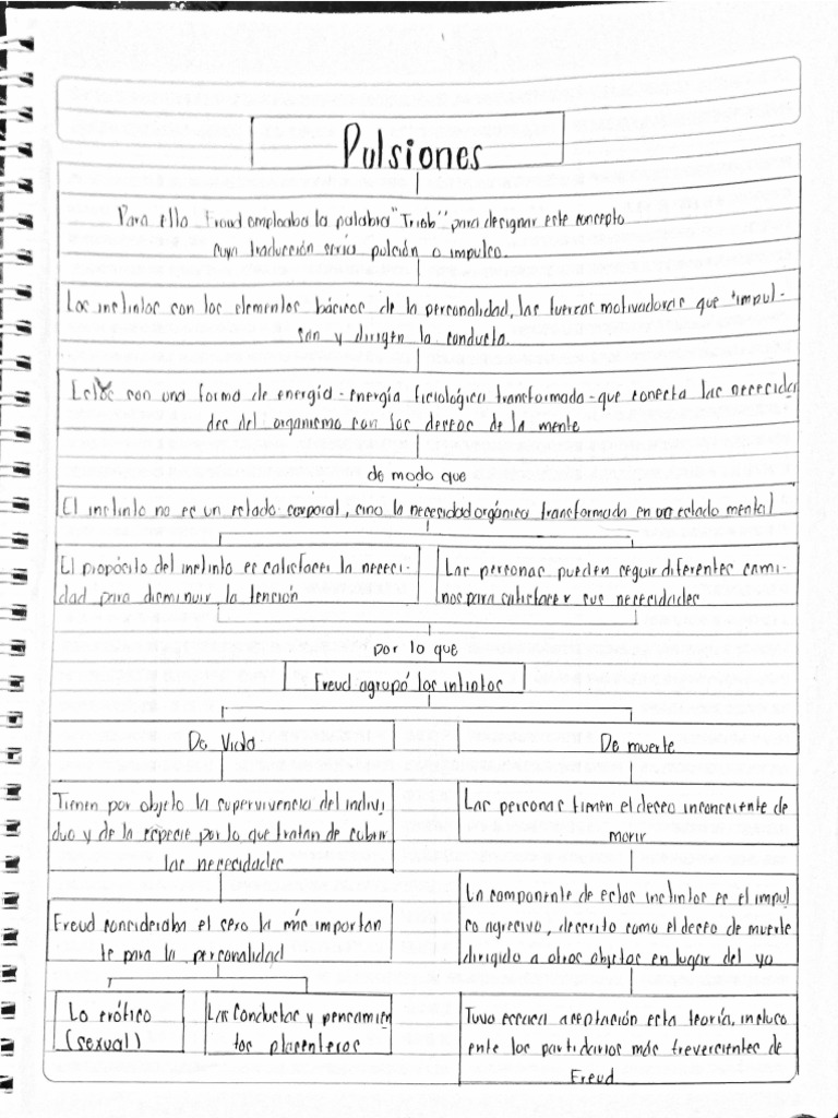 Pulsión, Teoría de Sigmun Freud | PDF
