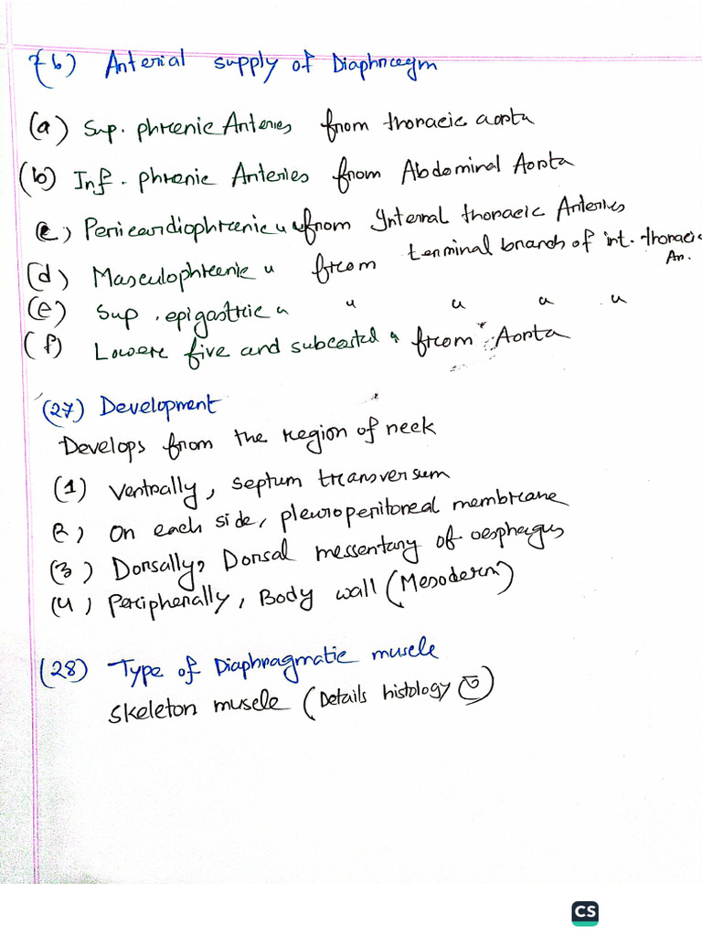 Diaphragm (Thorax) Question Solve | PDF