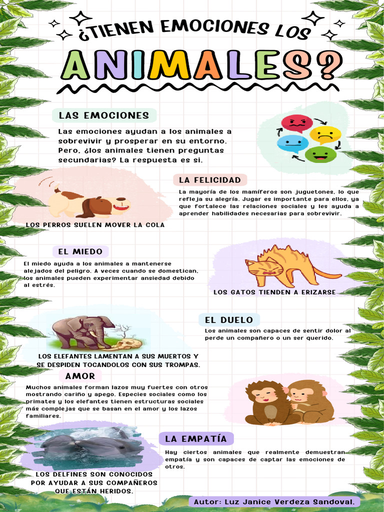 Las Emociones en Los Animales | PDF
