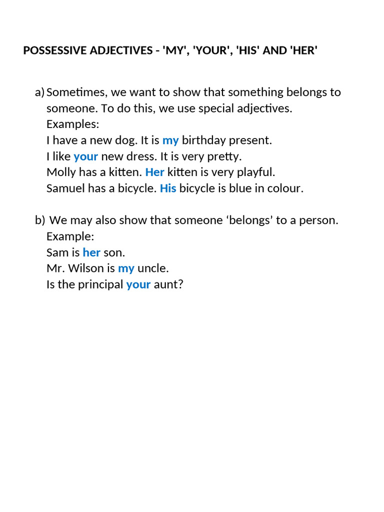 Understanding Possessive Adjectives | PDF
