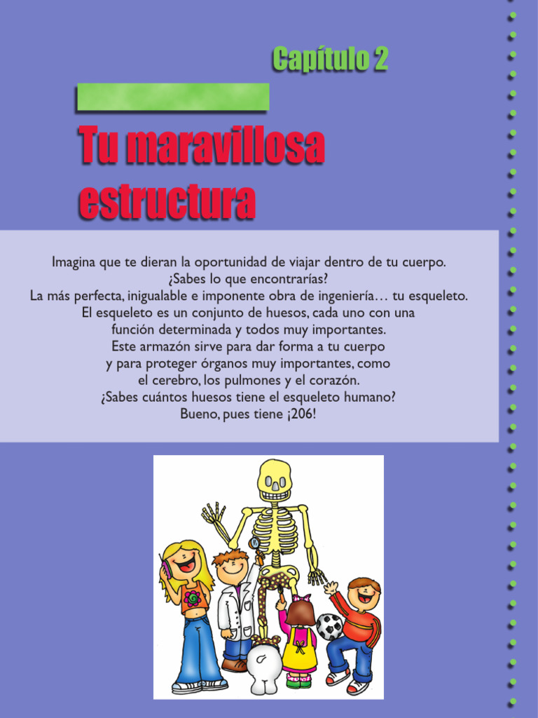 Descubre el Esqueleto Humano y sus Huesos | PDF | Hueso | Odontología