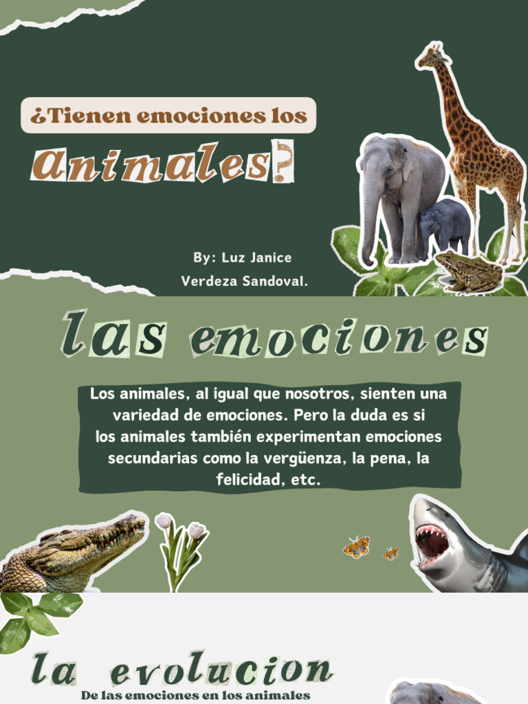 Emociones en Animales: ¿Sienten y Lloran? | PDF | Las emociones ...