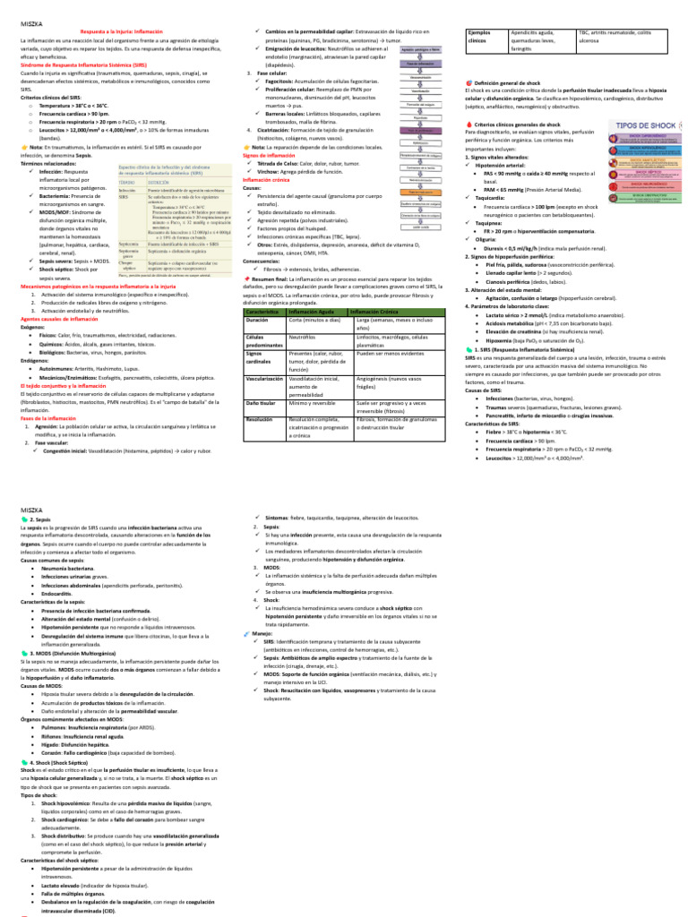 Definición y Causas de Sepsis | PDF | Inflamación | Septicemia