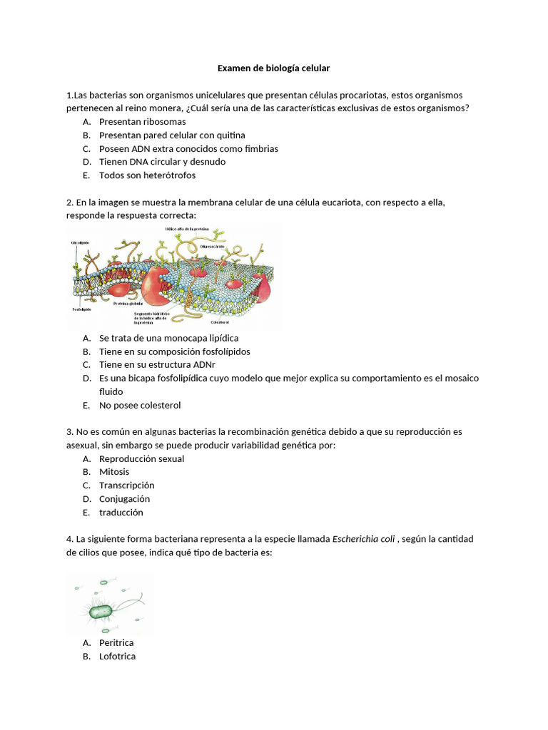 EXAMEN I- CITO-BIOQUI | PDF | Biología Celular) | Las bacterias