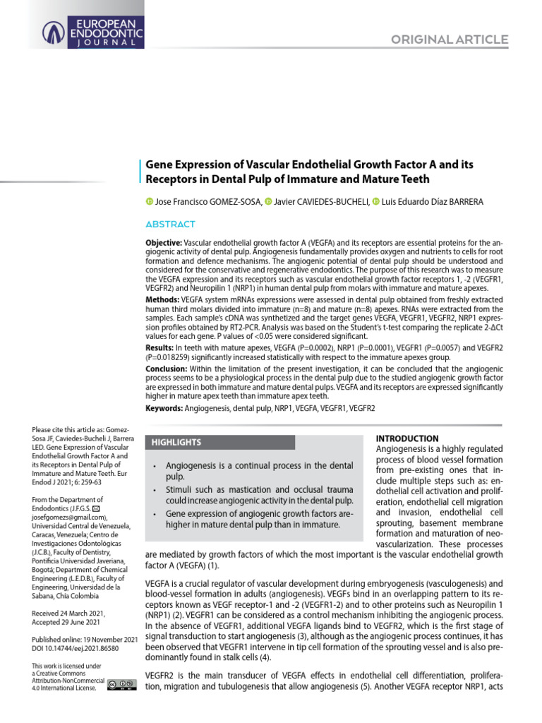 Gene Expression of VEGF A and Its Receptors in Dental Pulp of Immature ...