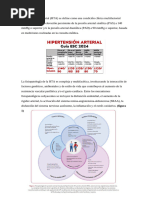 Mapa-Patron Dippr-Tratamiento Hta | PDF | Hipertensión | Presión sanguínea
