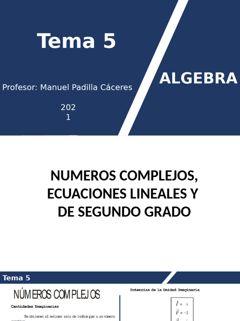 ppt_tema5 | PDF