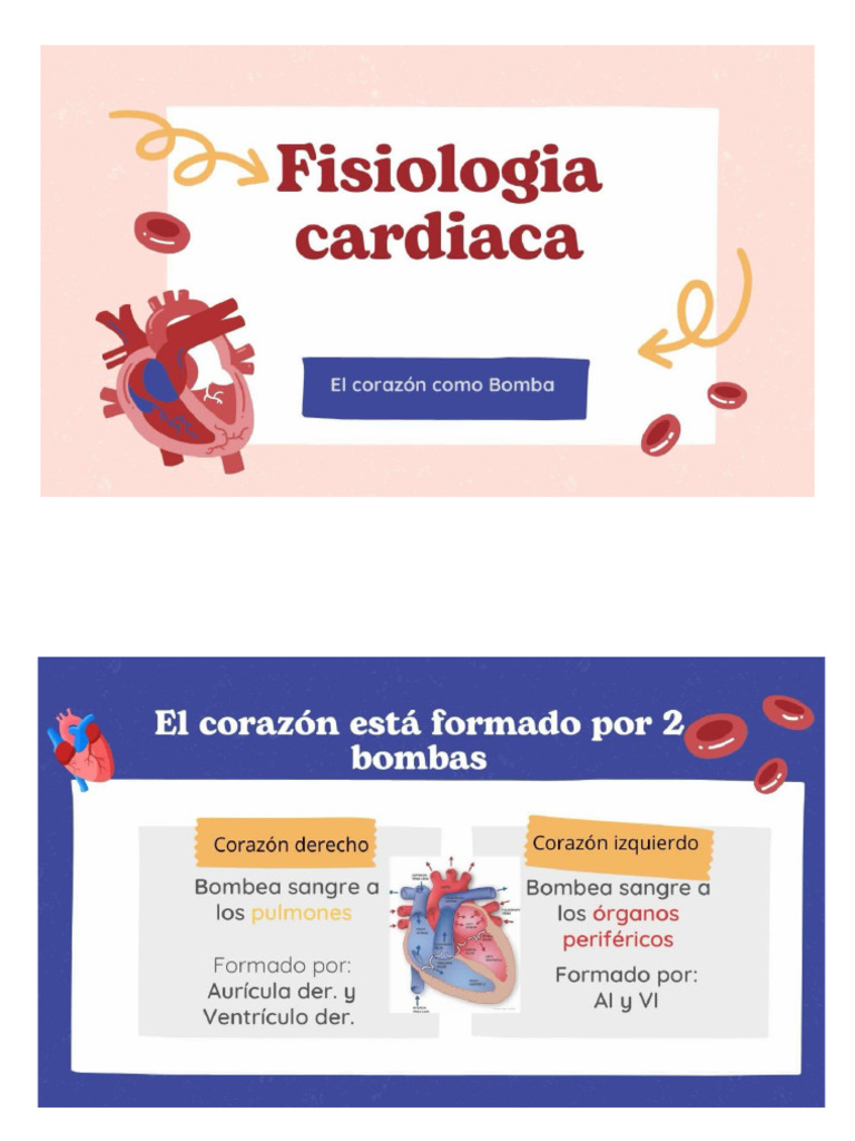 Fisiologia Cardiaca | PDF