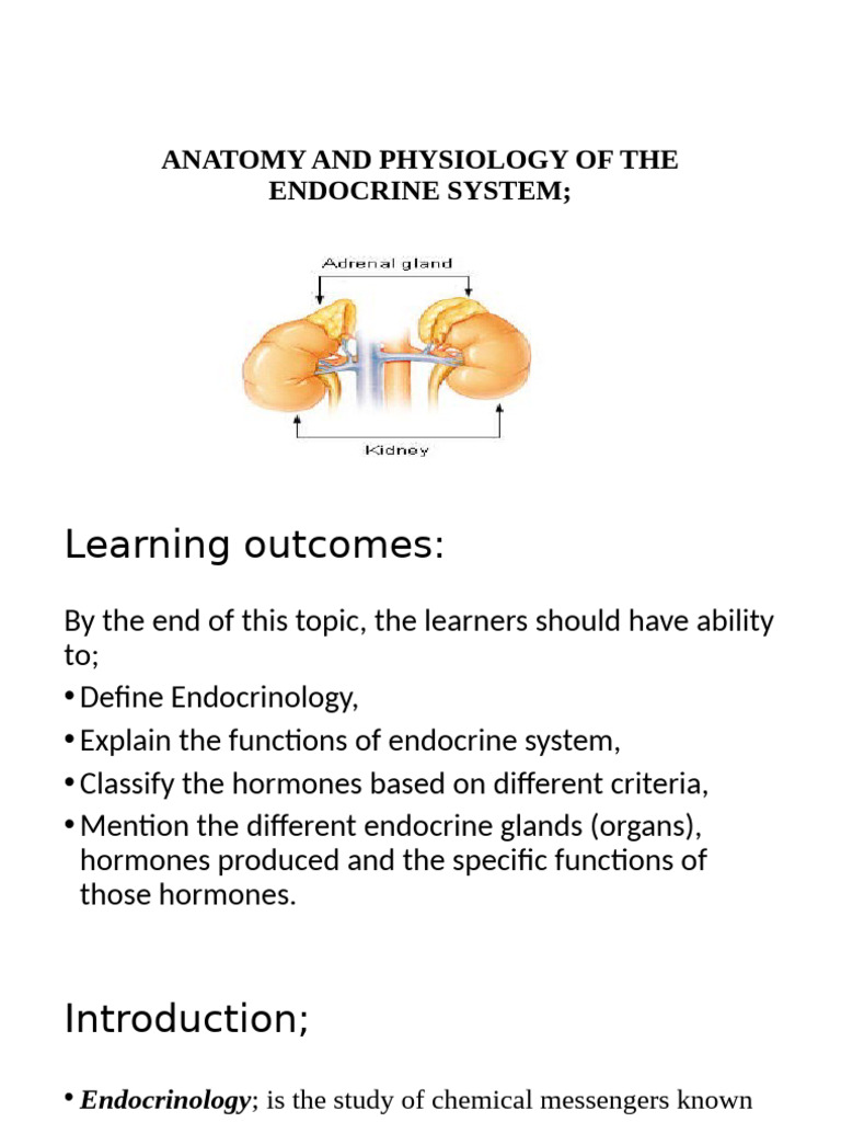 Anatomy and Physiology of the Endocrine System | PDF | Adrenal Gland ...