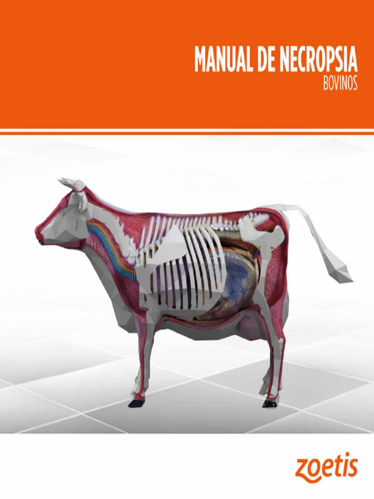 Zoetis 2014 Manual de Necropsia | PDF