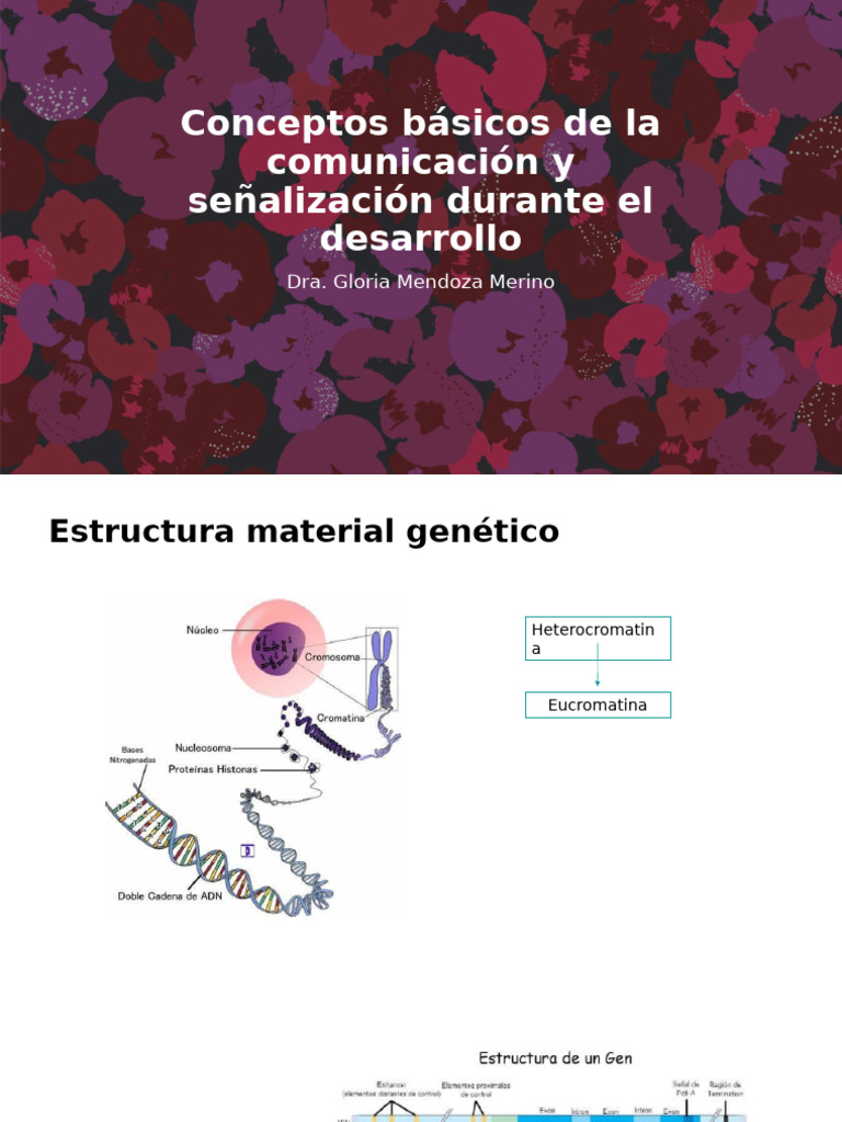 Conceptos Básicos de La Comunicación y Señalización | PDF | Transducción de señales ...