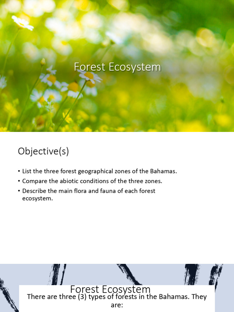 Forest Ecosystem Presentation | PDF | Forests | Ecosystem