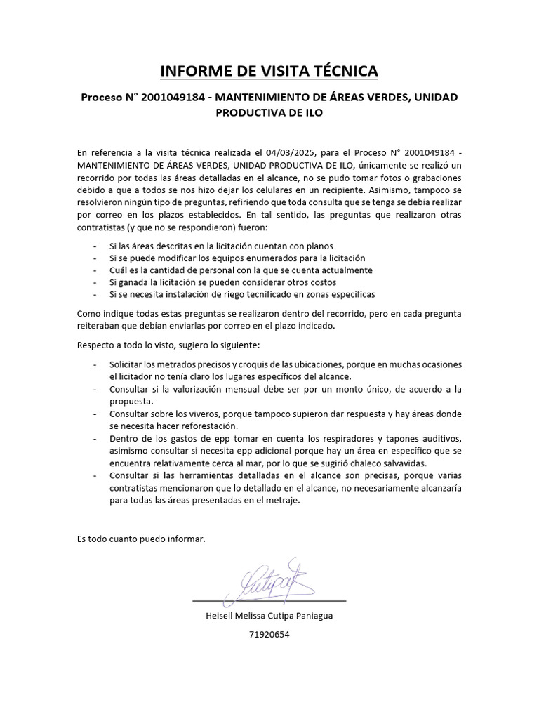 Informe de Visita Técnica Ilo | PDF