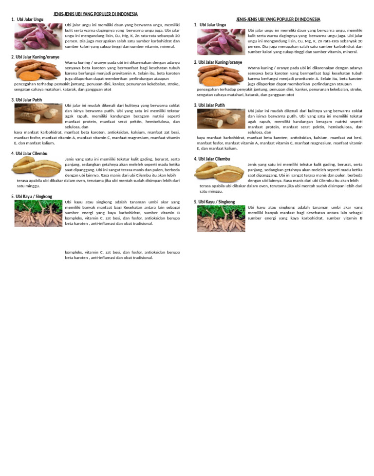 Jenis-Jenis Ubi | PDF