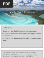Sandy Beach Ecosystems Explained | PDF | Beach | Coast