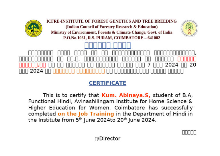 On Job Training Certificate | PDF