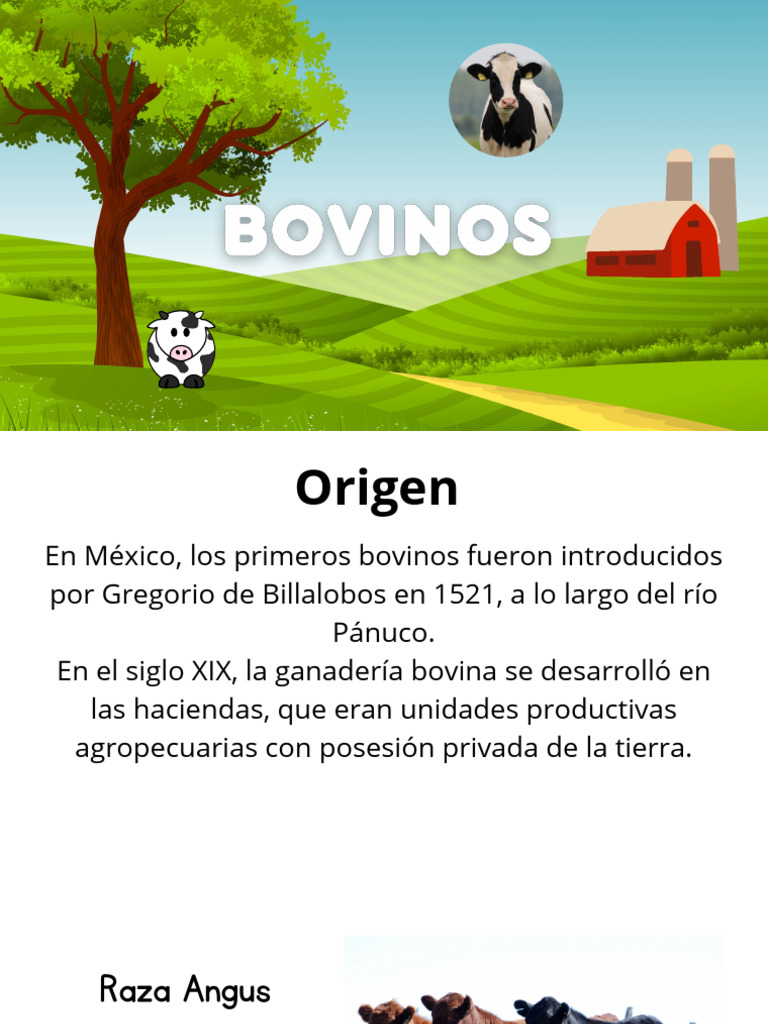 Historia de la ganadería bovina en México | PDF