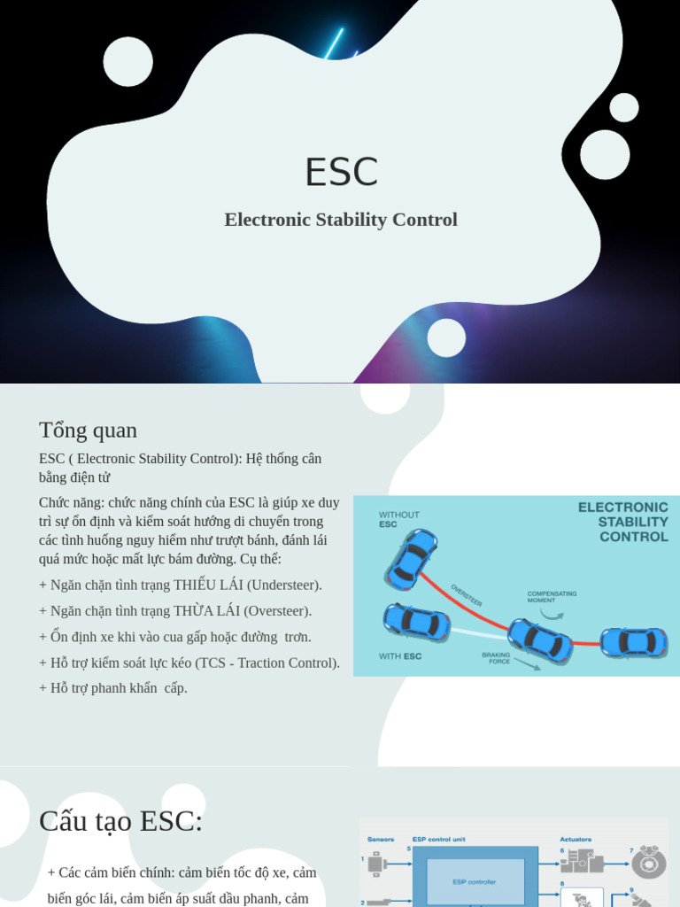 Electronic Stability Control | PDF