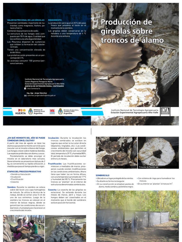 Cultivo de Gírgolas en Troncos de Álamo | PDF | Hongo | Siembra