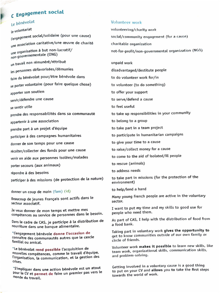 Le Bénévolat - Vocabulaire | PDF