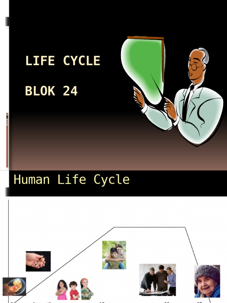 1.life Cycle Review | PDF | Infants | Medical Specialties