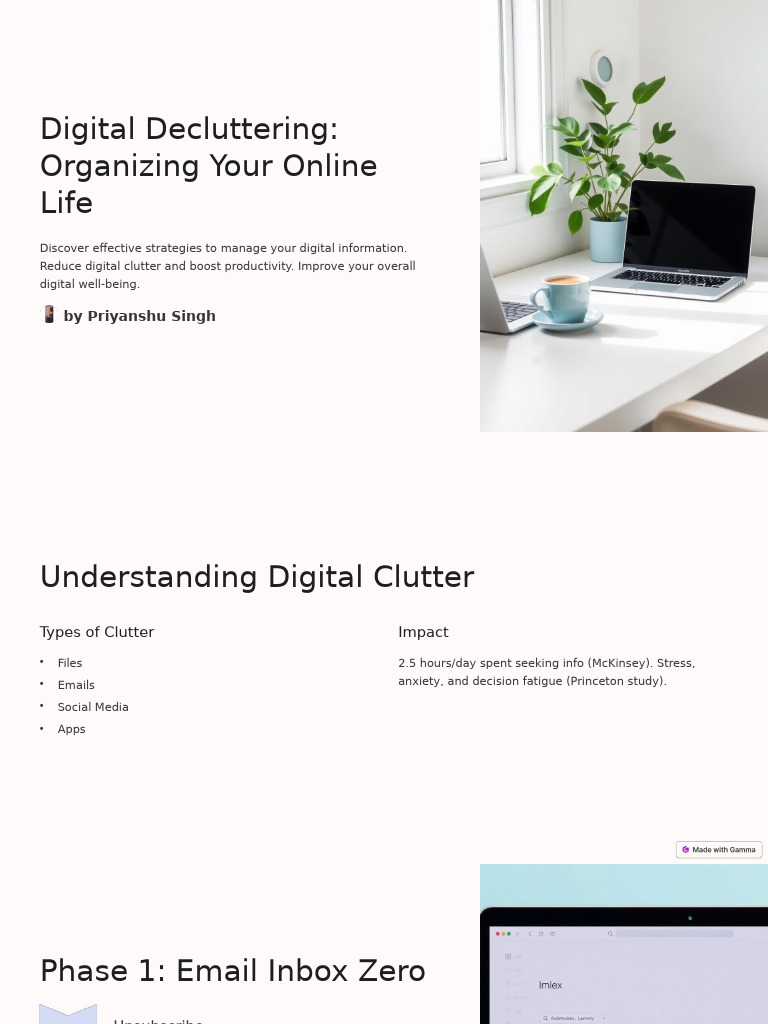 Digital-Decluttering-Organizing-Your-Online-Life | PDF