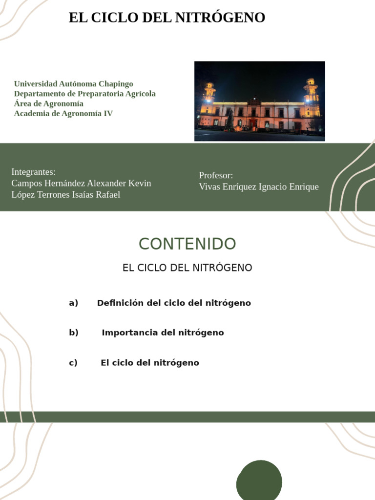 Definición del Ciclo del Nitrógeno | PDF