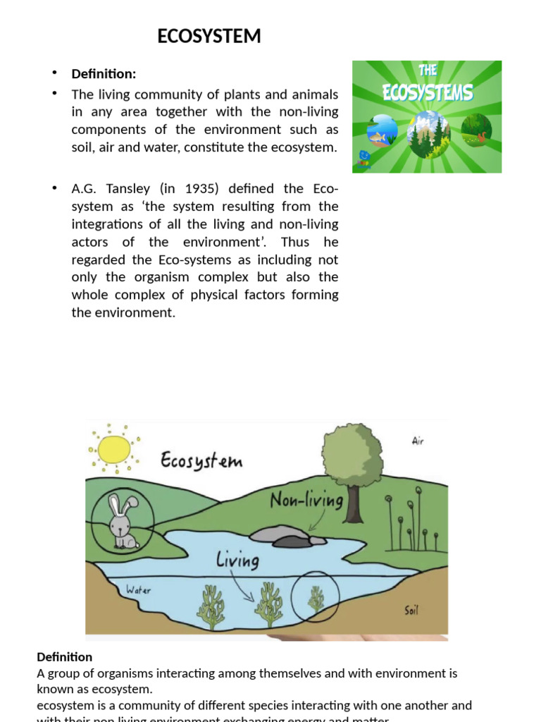 Unit III Ecosystem | PDF | Ecosystem | Foods