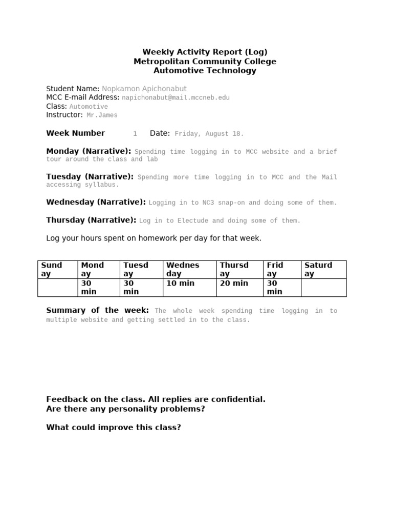 Weekly Activity Report Log Template 23 SP | PDF