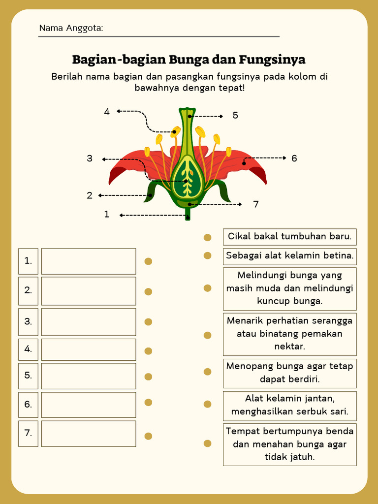 Lembar Kerja Bagian-bagian Bunga dan Fungsinya Krem Emas Online dan Cetak_20241128_062640_0000 | PDF