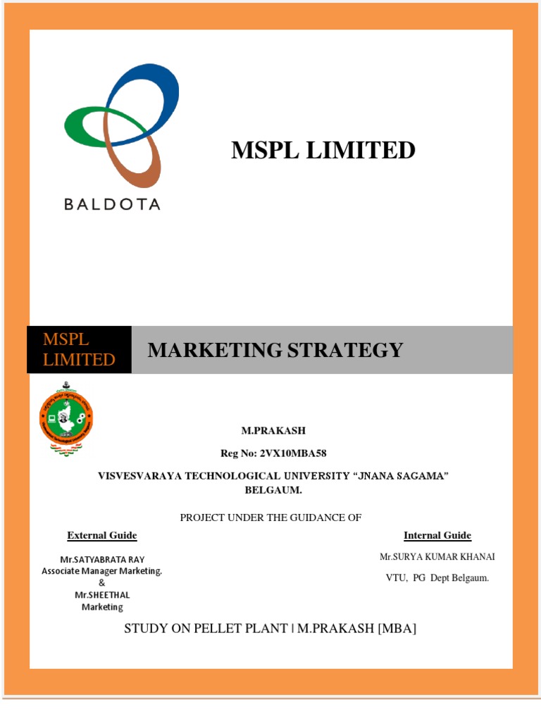 MSPL Marketing Strategy Study | PDF | Finance & Money Management