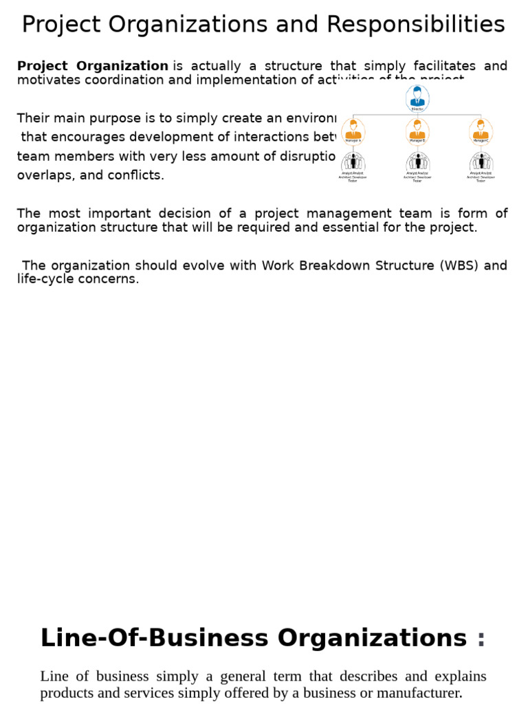 Project Organization and Roles Explained | PDF | Software Development ...