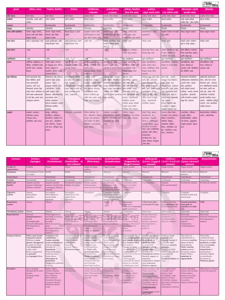 Animal Classification | PDF | Gill | Respiratory System