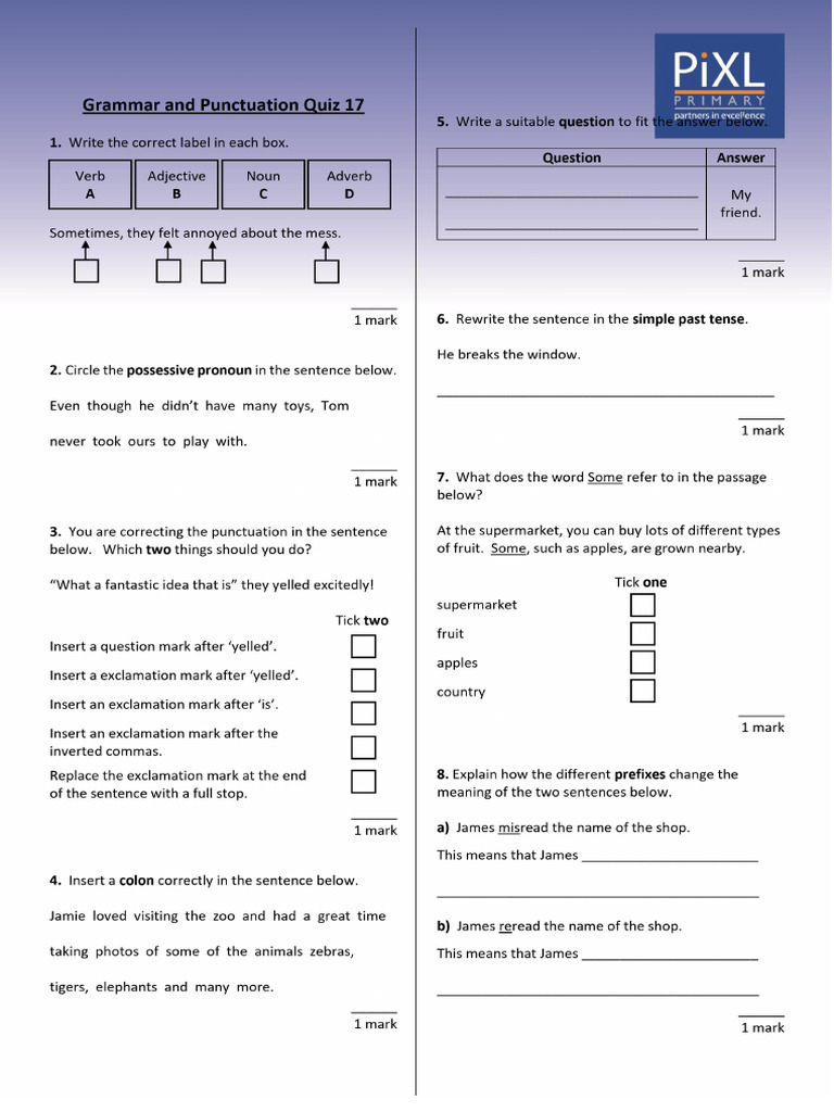 Grammar and Punctuation Quiz 17 | PDF